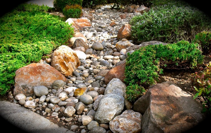 Water Conservation - Hutter Designs LLC - Landscape Architects San Diego